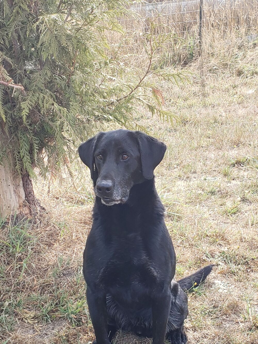 WR Boys – Wind River Labs