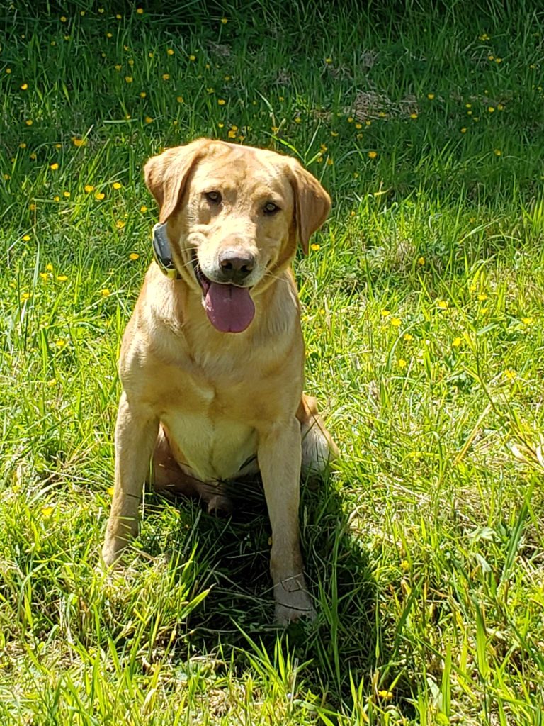 WR Boys – Wind River Labs